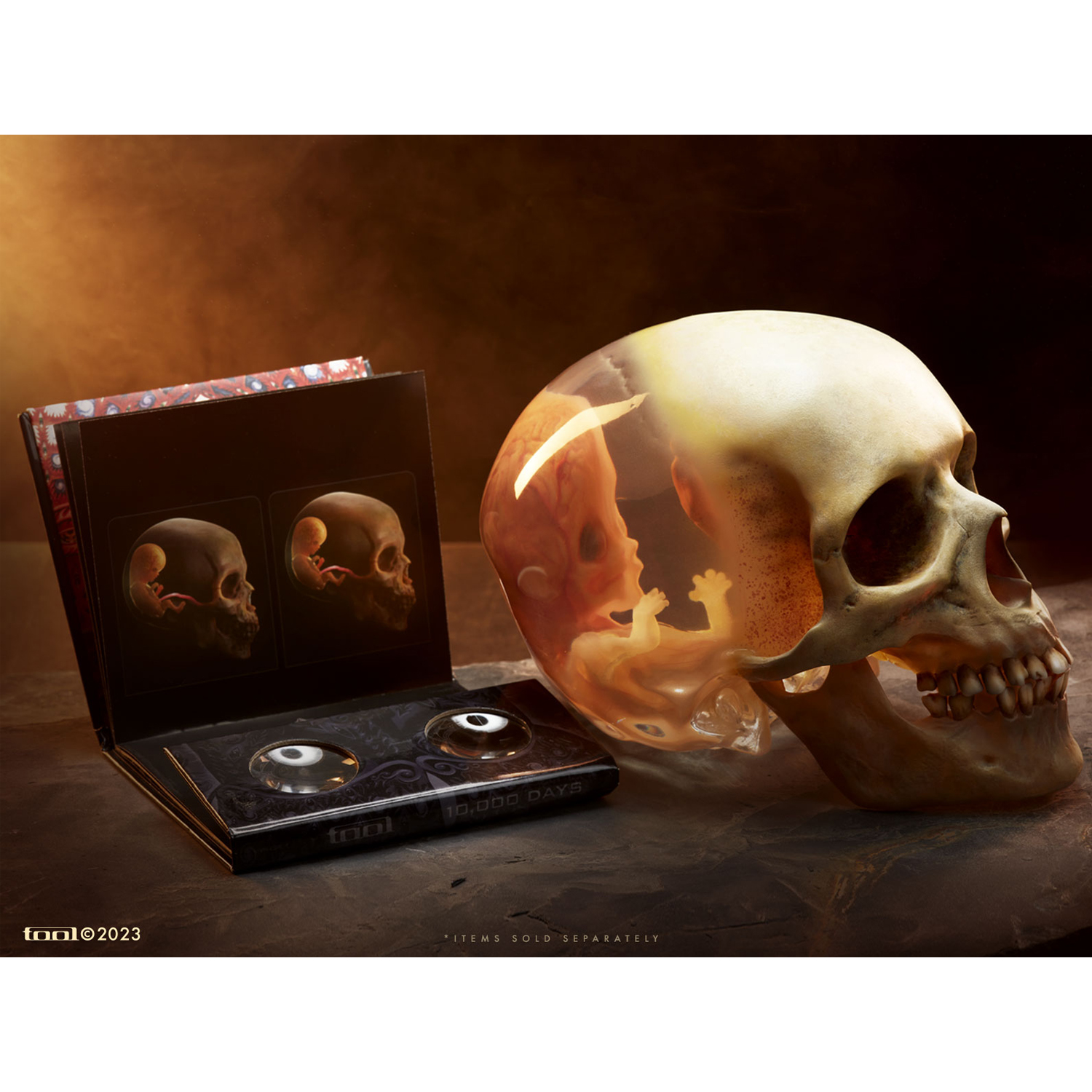 Fetus In Skull Life-Size Sculpture - Tool Official Store